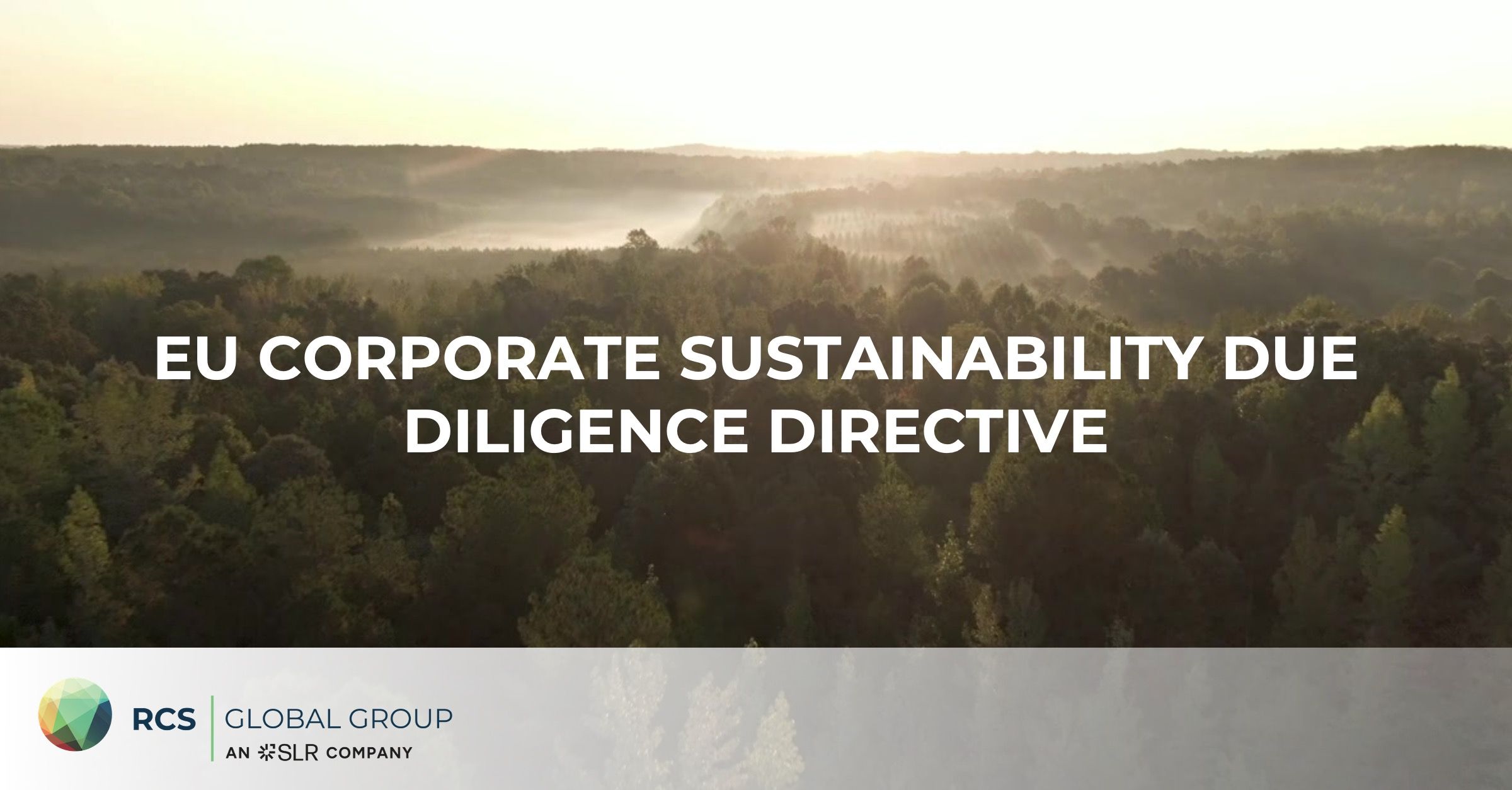 THE EU CORPORATE SUSTAINABILITY complete - RCS Global Group